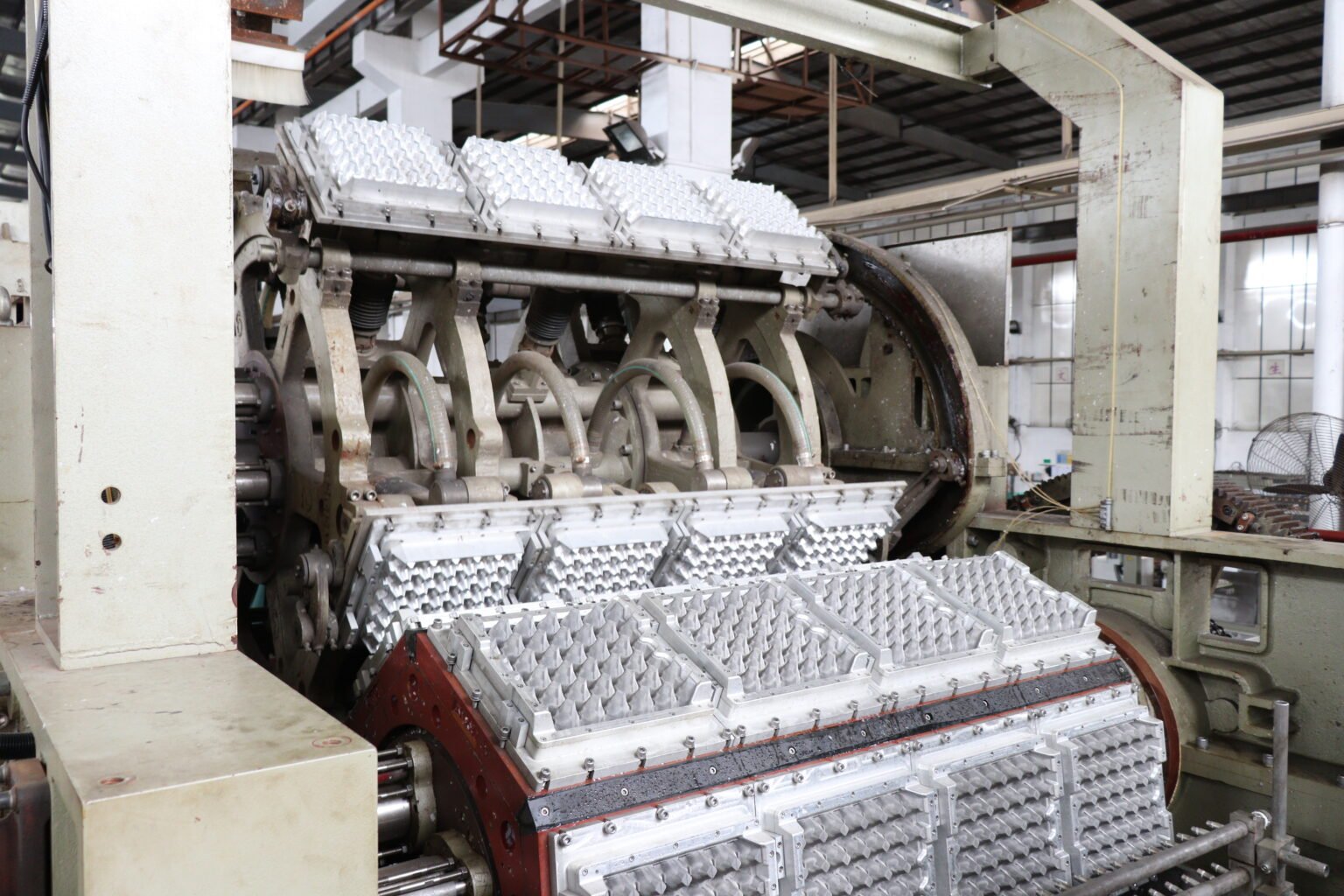 High Speed Egg Tray Production: The Double Rotary Egg Tray Machine ...